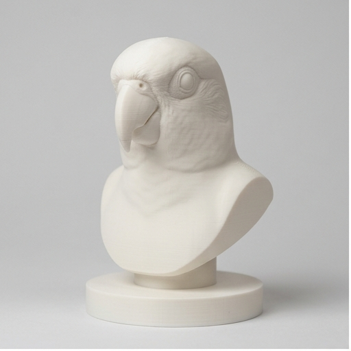 ナナイロメキシコインコのルネサンス肖像画胸像ができました！ - うちの子ルネサンスonはてなブログ